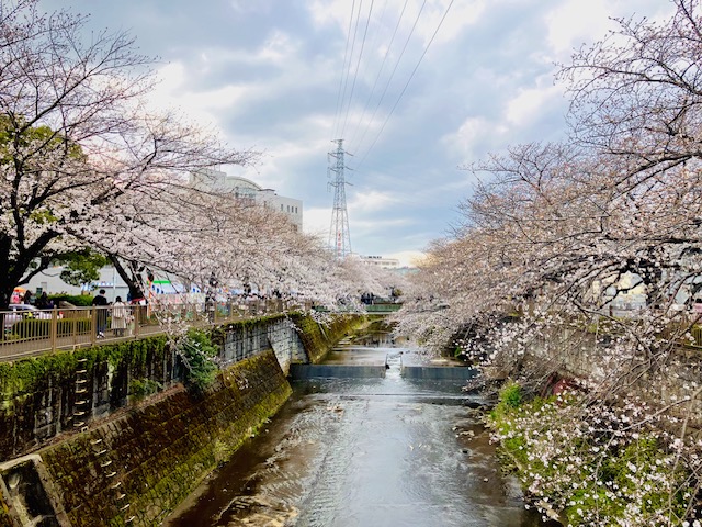 町田市 JR成瀬駅前 スタジオSOPIC | スタジオ成瀬駅前のブログ